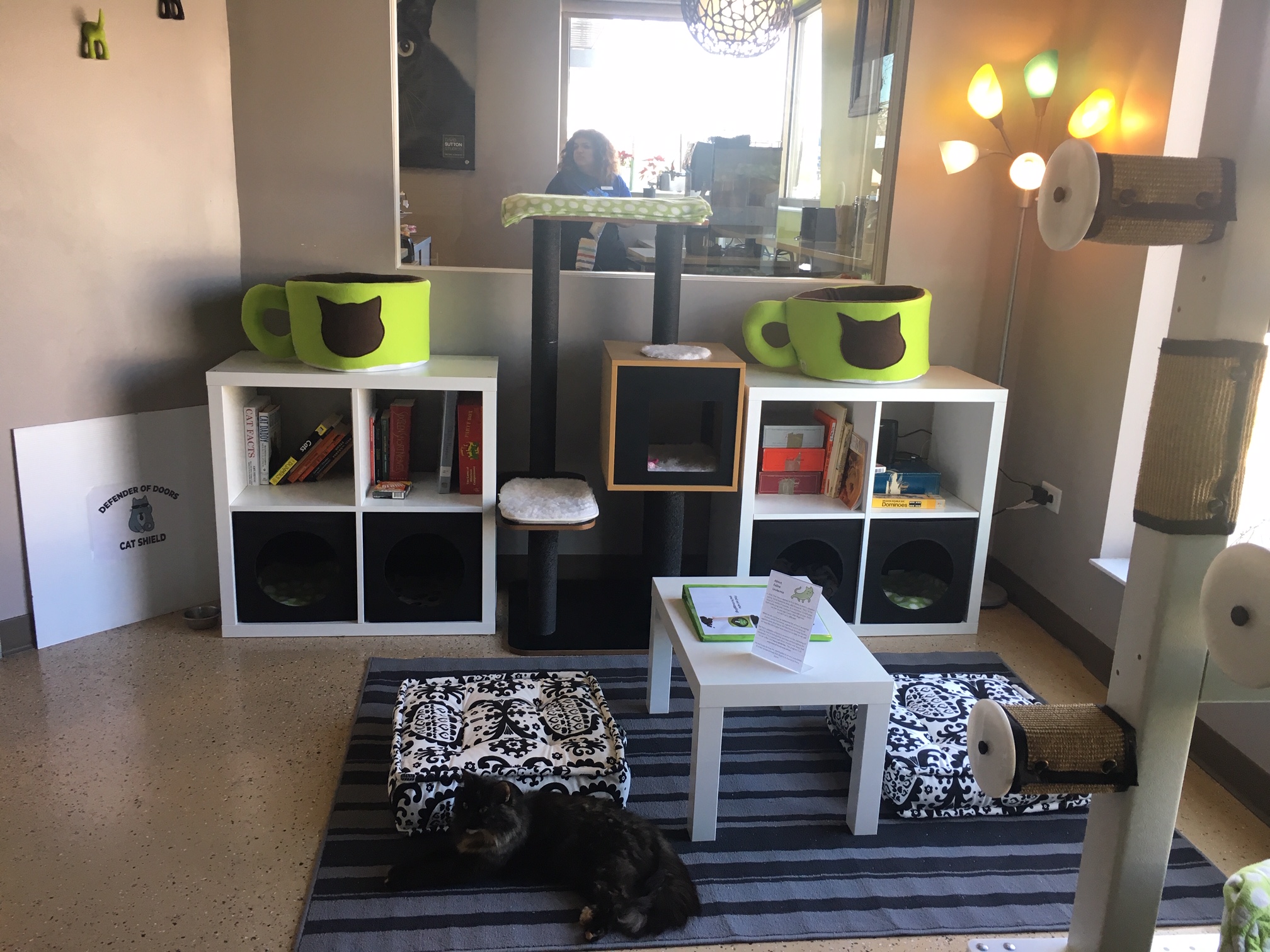 Tree House Cat Cafe` Now Open! #ThCatCafe - Tree House Humane ...